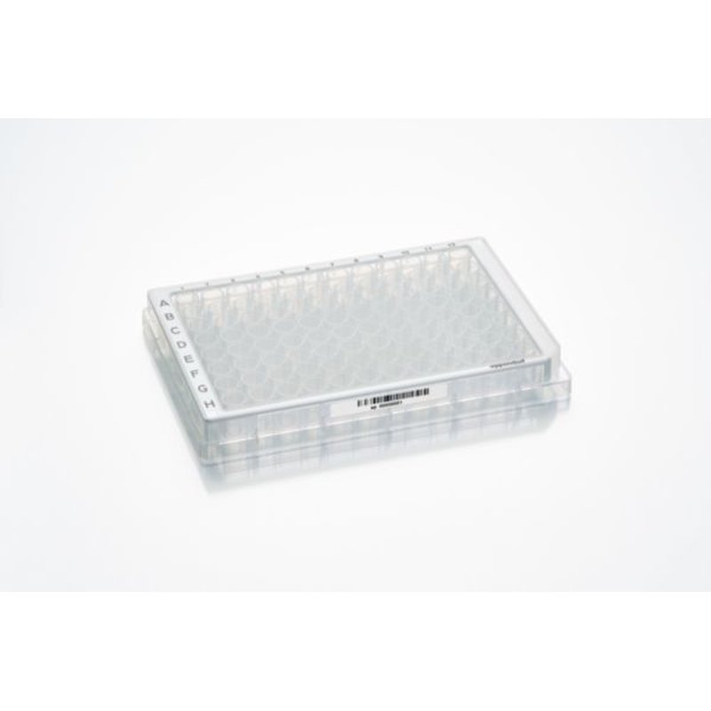 Eppendorf # 30609603 - order at the best price General, MICROPLATE 96/V ...